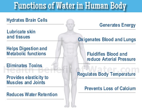 Benefits of drinking water - Premium Personal Training